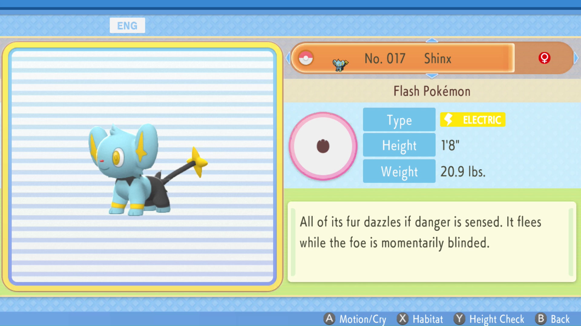 Shinx Pokemon BDSP - How to Get Shinx
