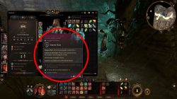 BG3 Adamantine Items