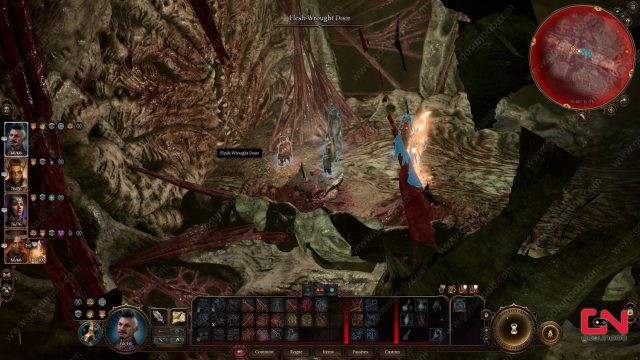 BG3 Flesh Wrought Door Bug, Stuck in Conversation