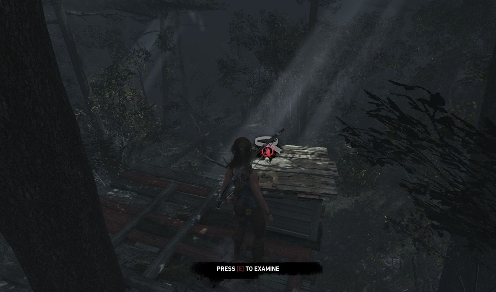 Coastal Forest Treasure Map - GosuNoob.com Video Game News & Guides