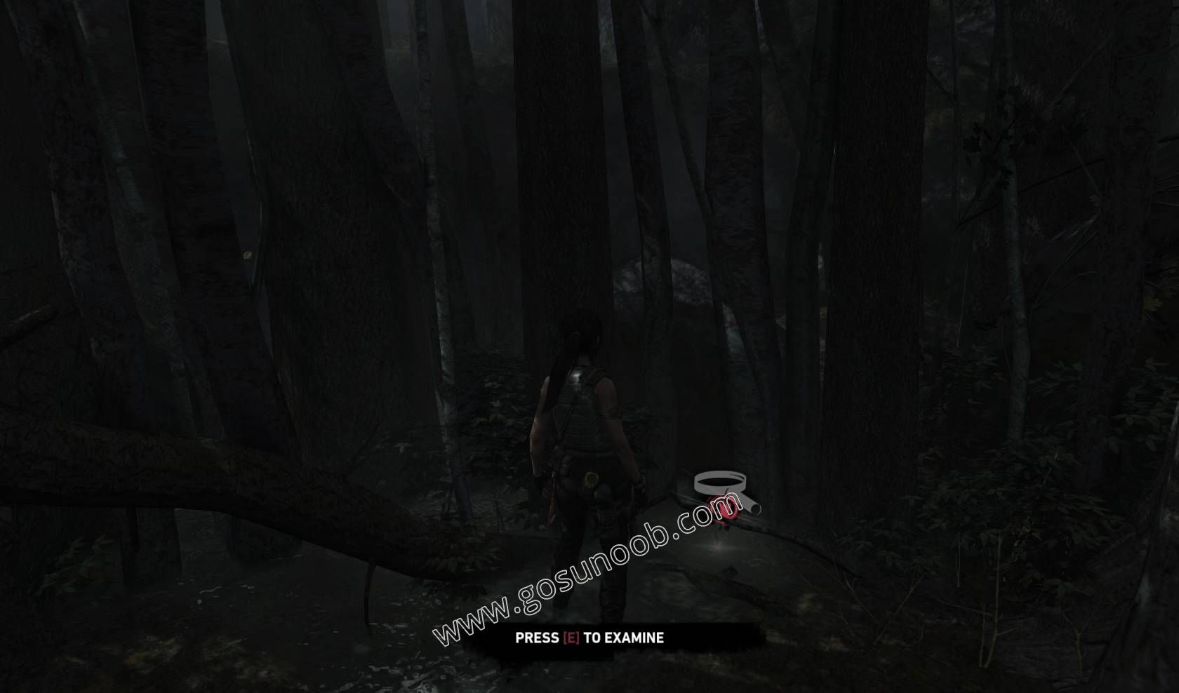 Summit Forest GPS Cache 1