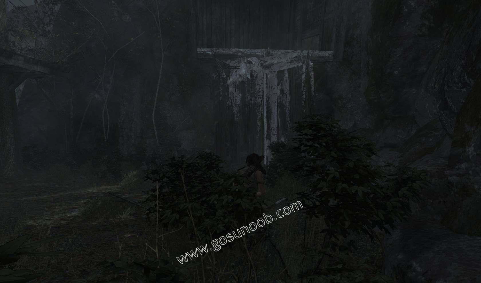 Summit Forest GPS Cache 2