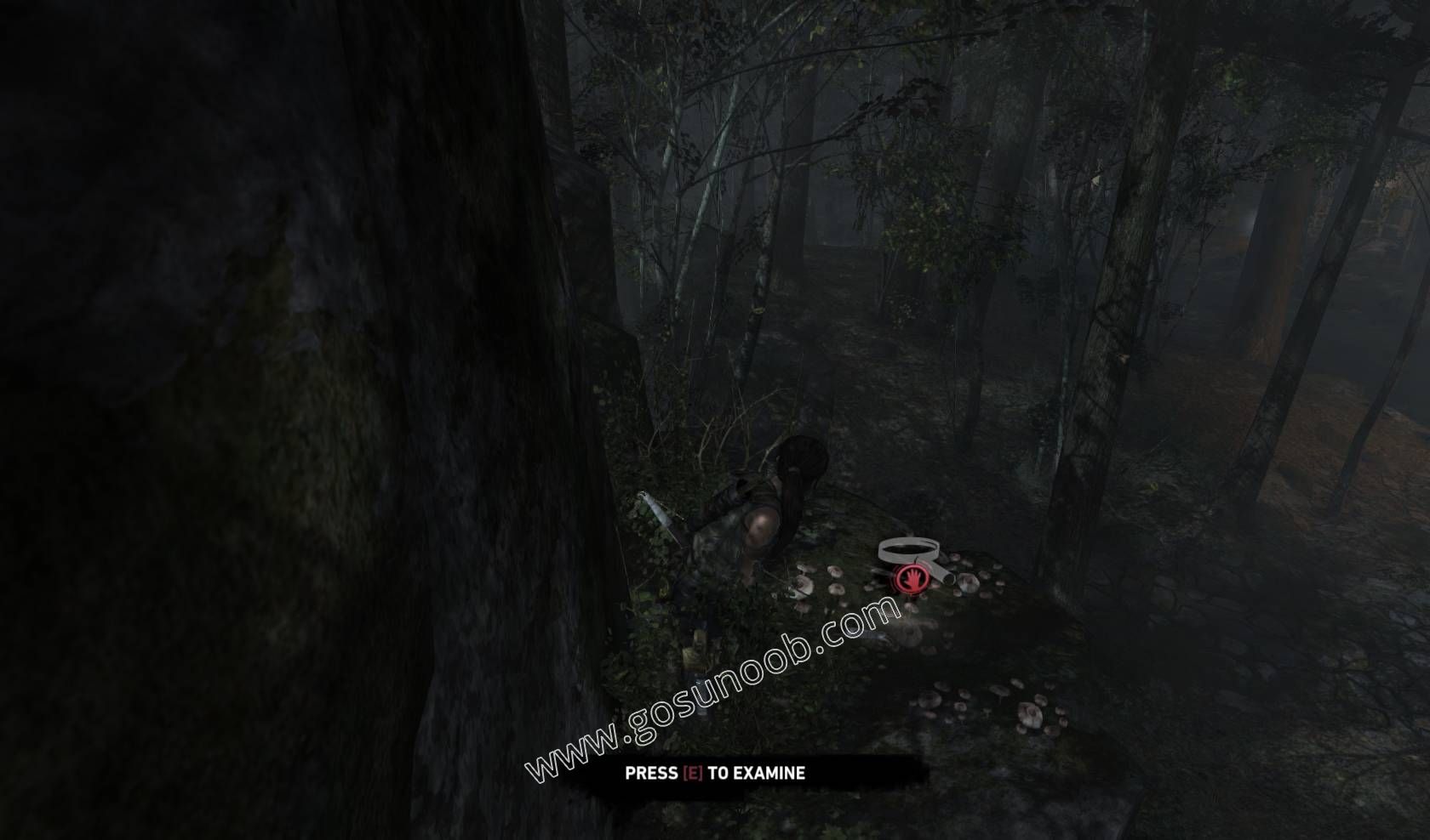 Summit Forest GPS Cache 2