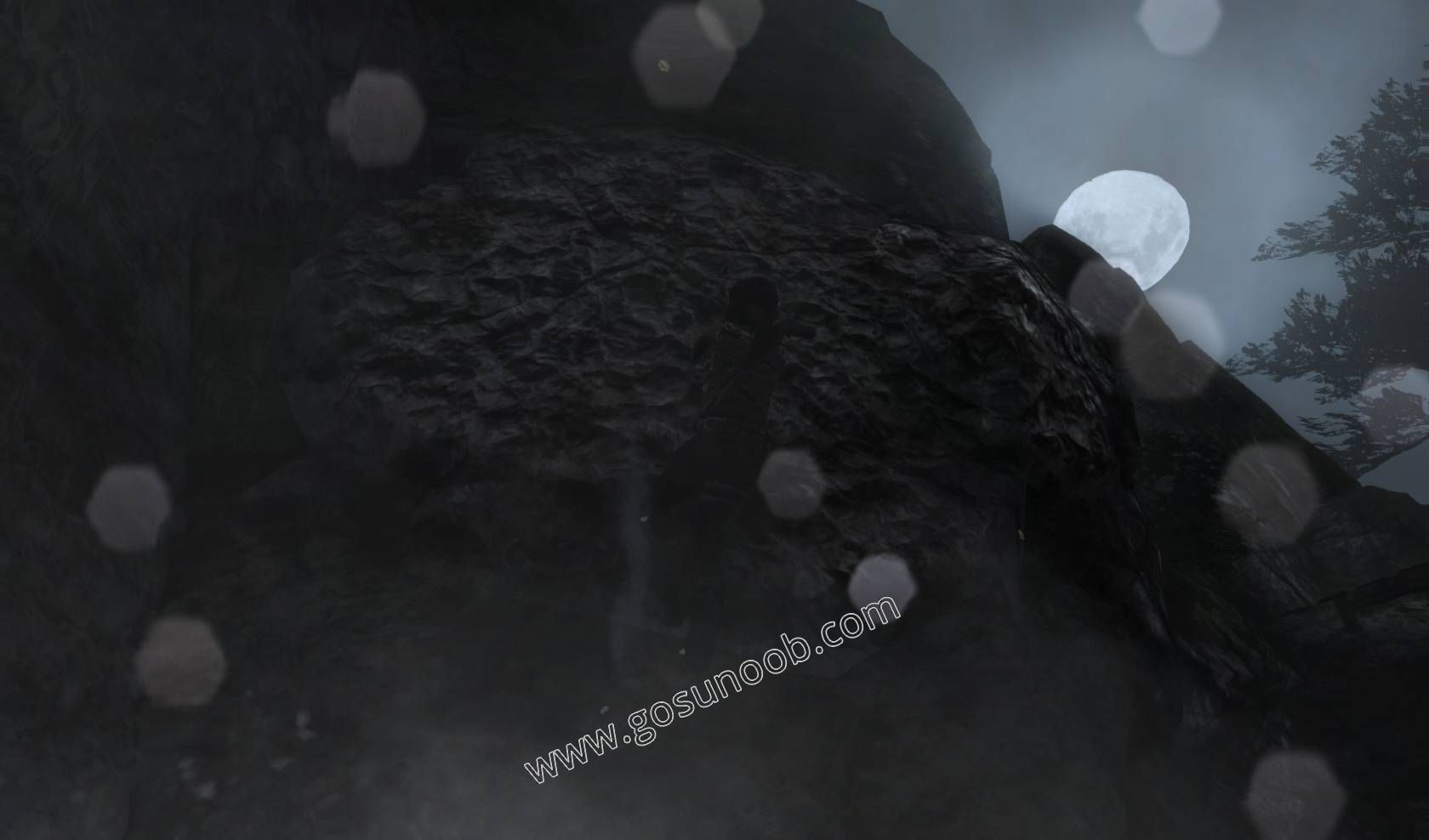 Summit Forest GPS Cache 4