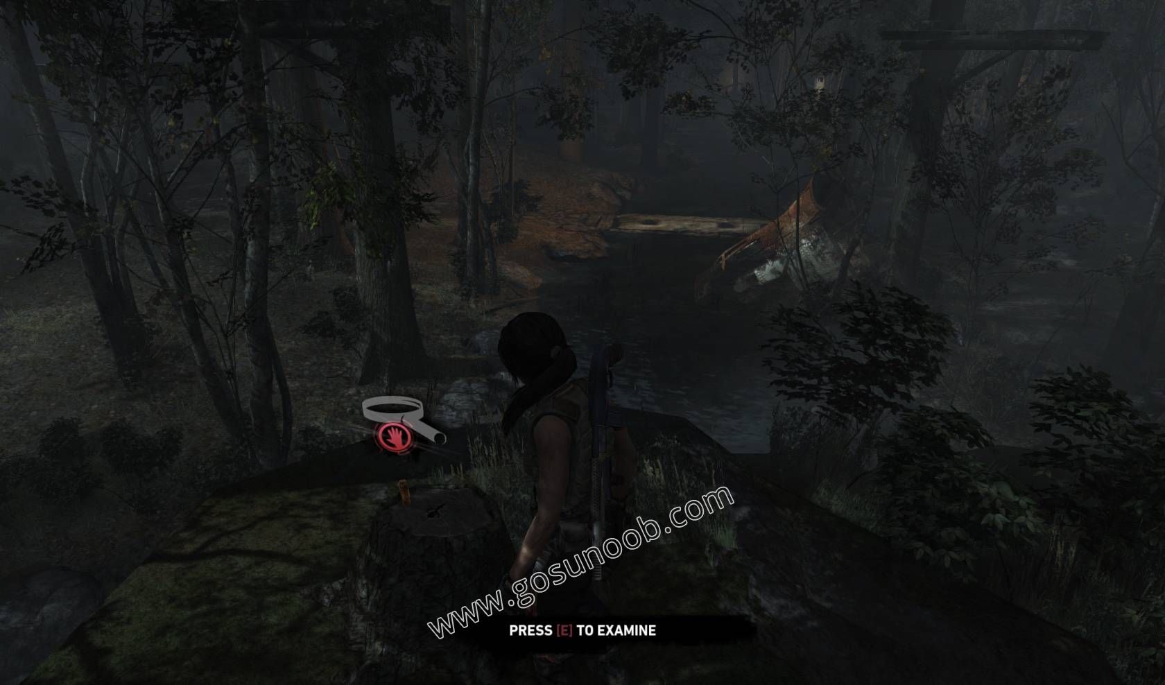 Summit Forest GPS Cache 4