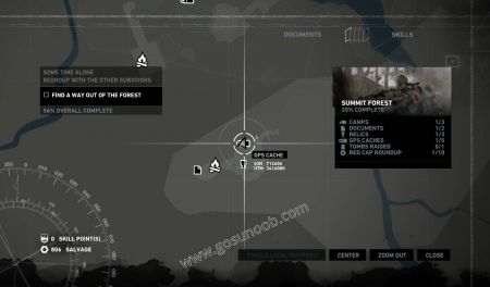 Summit Forest GPS Cache 1